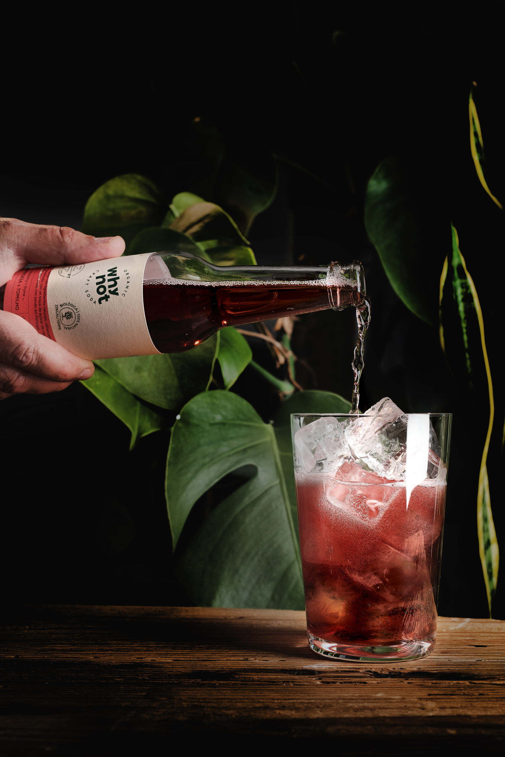 Why not pictures 20220077 – Marketeer