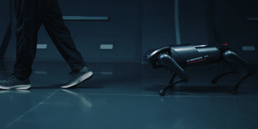 Este cão-robô podia ter saído de “Black Mirror”, mas é uma invenção da ...