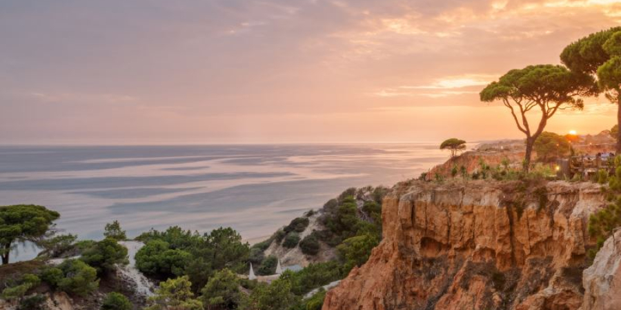 Pine Cliffs Resort: Aposta no segmento do wellbeing – Marketeer