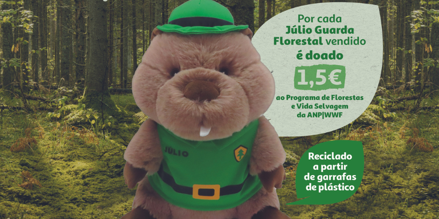 Lembra-se do castor Júlio? Está de volta e com um propósito que ...